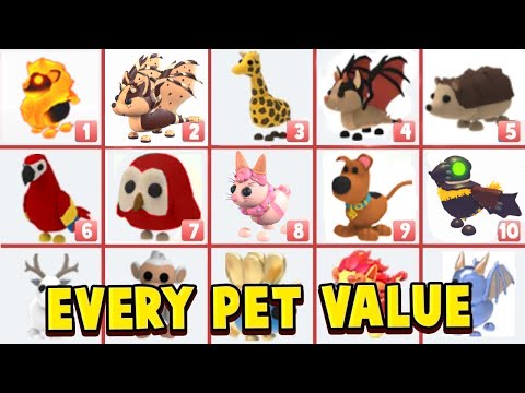 All Pets VALUE List In Adopt Me 2024! New Pets Trading Values