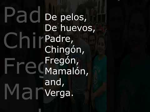 SPANISH SLANG : CHIDO