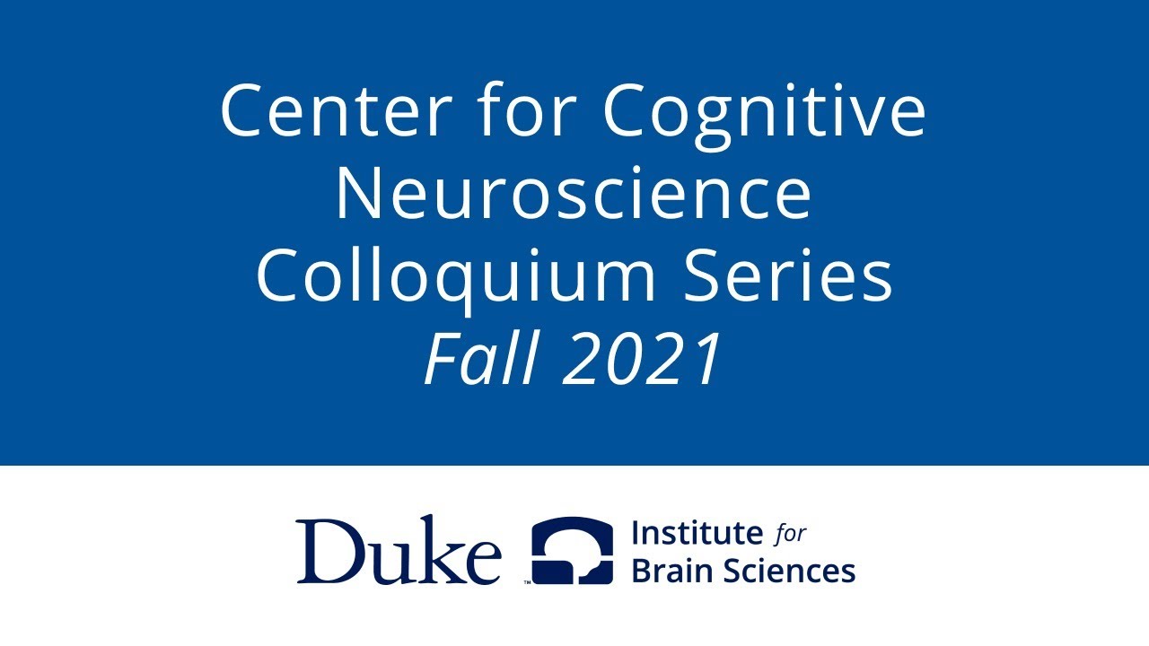 Structure-Function Relationships in Brain Networks (Dr. Bratislav Misic, McGill Univ.)