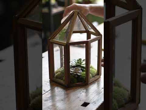 Turning Old Picture Frames Into a Mini Greenhouse!