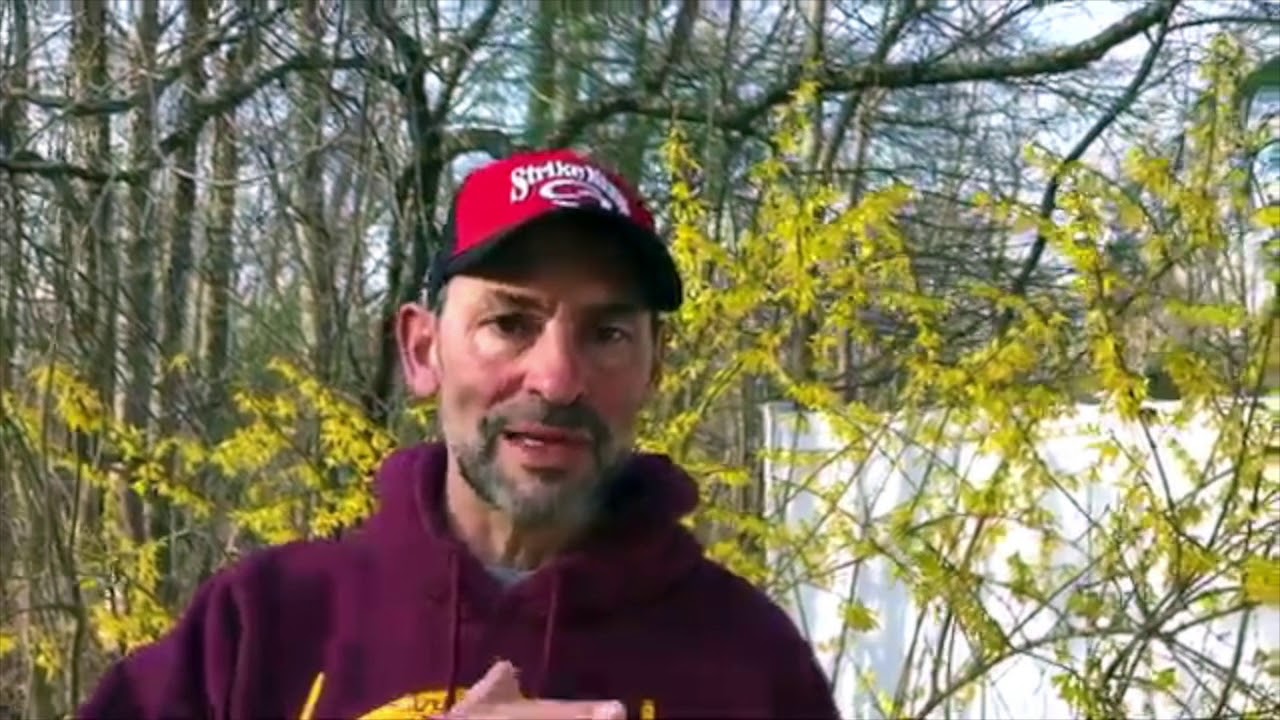 Backyard Enrichment 11
