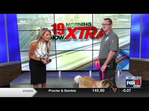 Find a new forever friend at the Boone County Animal Shelter