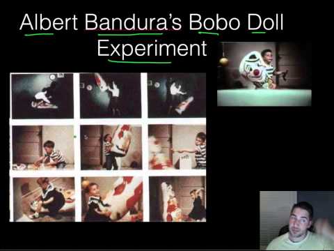 AP Psychology - Learning - Part 3 - Observational Learning