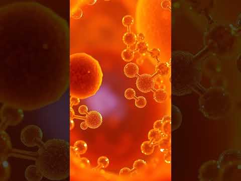 Human Fat Loss Explained by Science – No Myths, Just Facts! #how