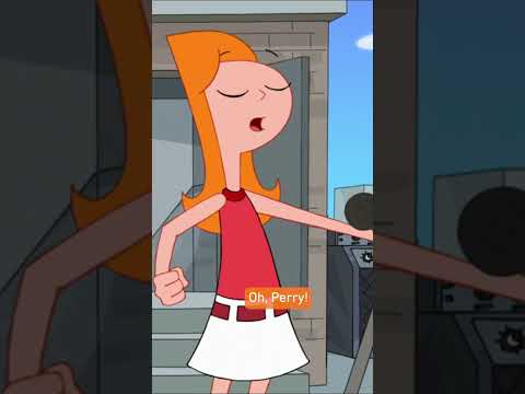 Perry is way more than a passing trend! #PhineasandFerb try to get Perry to come home! #DisneyXD