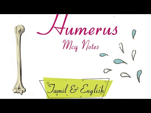 Humerus | Anatomy for medical students| Mcq notes | English & Tamil