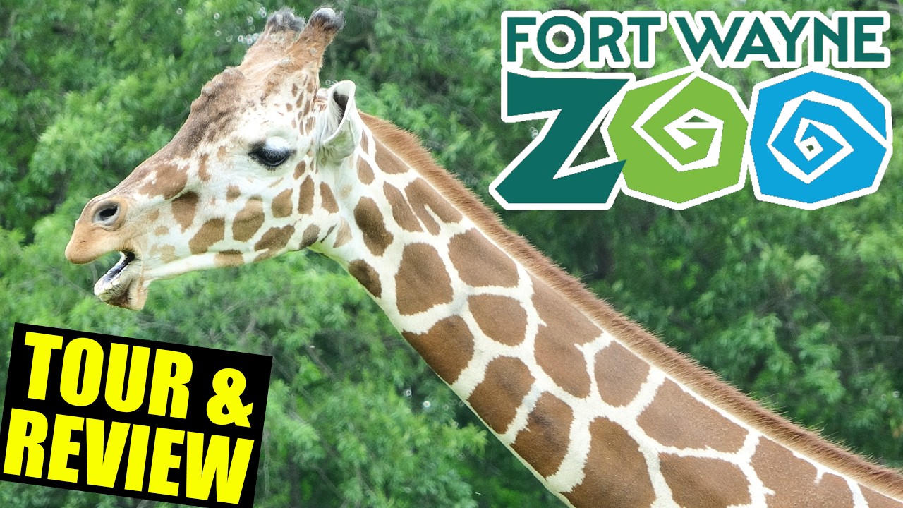 Fort Wayne Zoo Tour & Review