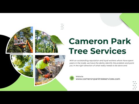 Cameron Park Tree Services - Tree Removal Cameron Park | Tree Service Cameron Park