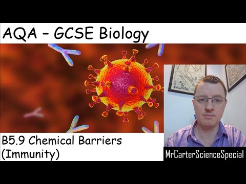B5.9 - Immunity and the immune system - AQA Biology GCSE 9-1