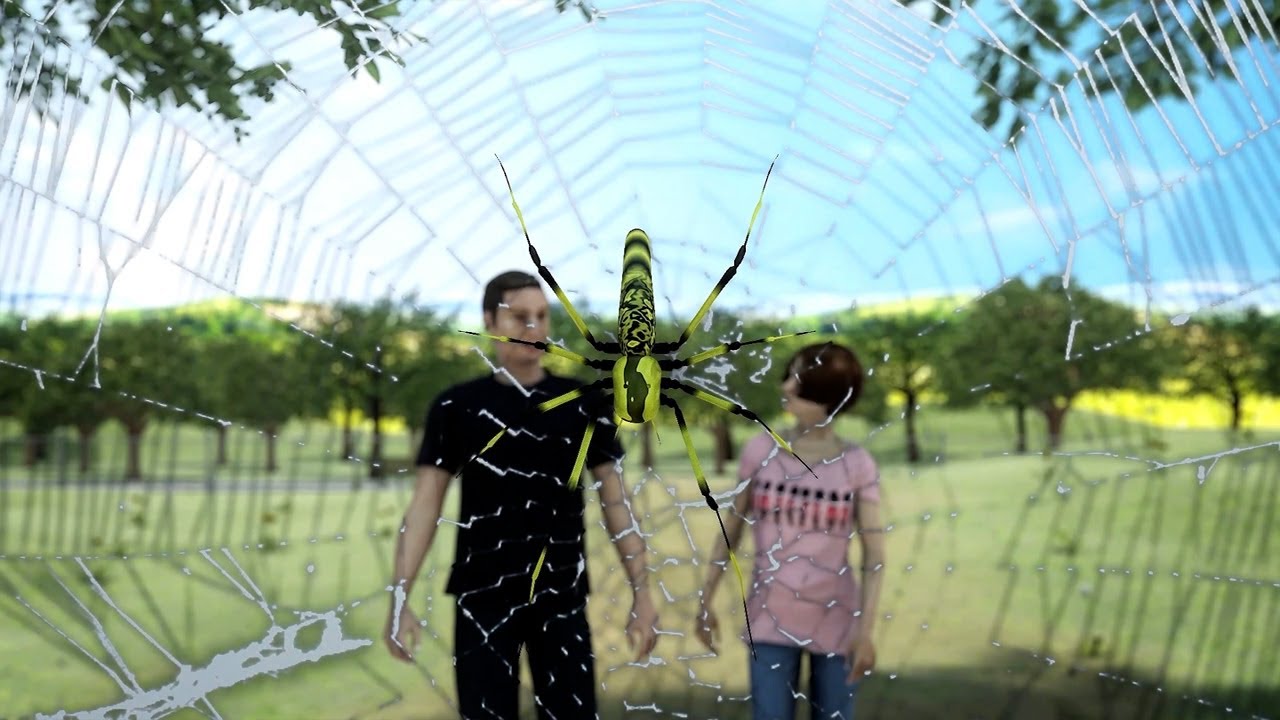 Northern Georgia is beachhead for an invading spider from Asia