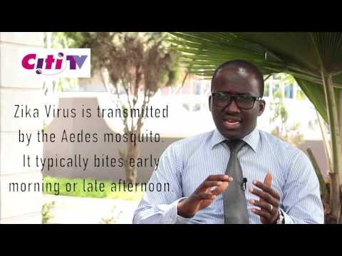 Citi Simplified: Zika Virus Simplified