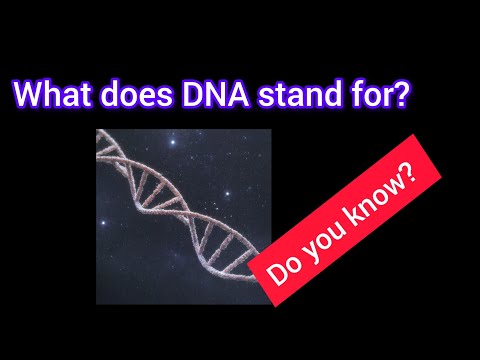 What does DNA stand for?
