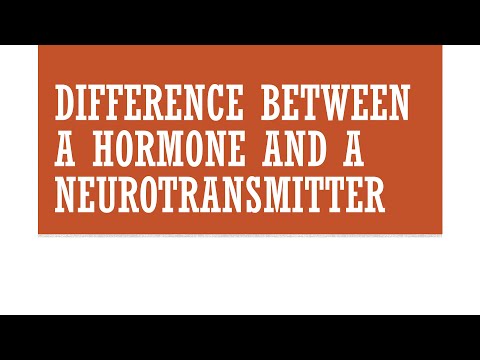 Difference Between a Hormone and a Neurotransmitter
