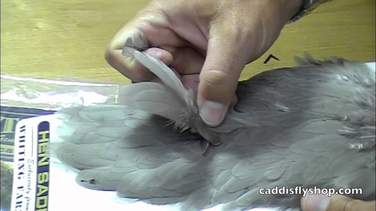 Whiting American Grade Hen Saddle