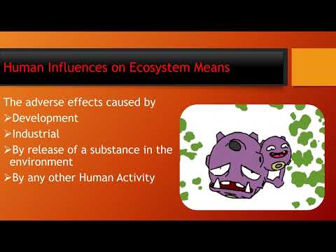 Influence of Human on Ecosystem | Urdu/Hindi | Hafsa Irshad