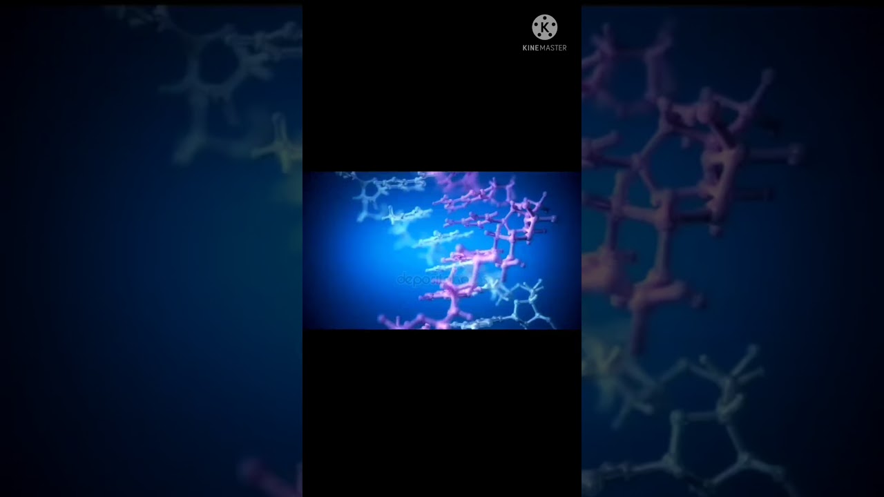 #DNA#Chemistry                            DNA structure molecule 3D rendering