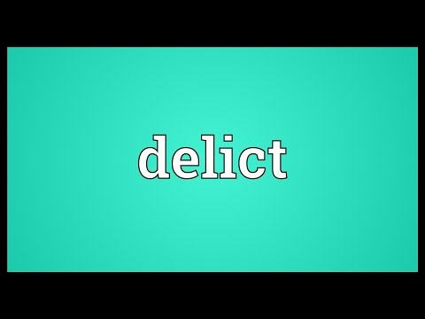 Delict Meaning