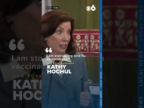 "I am prepared to stock pile bird flu vaccines," Gov. Kathy Hochul