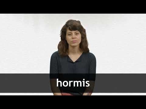 English Translation of “HORMIS” | Collins French-English Dictionary