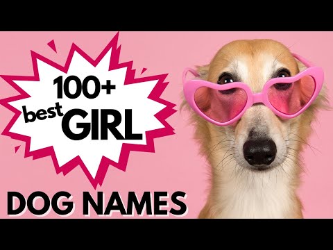 120 Best Female Dog Names with ✨Deep MEANINGS!✨ Girl Dog Names