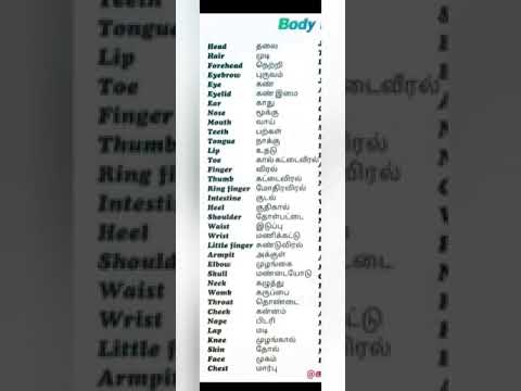 Body parts english and tamil meanings