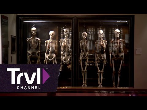 Philadelphia's Mutter Museum | Travel Channel