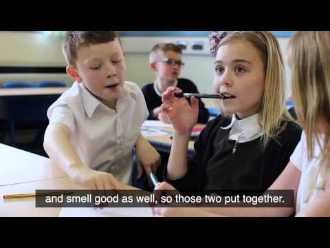 Concept Cartoons - Talk for primary science