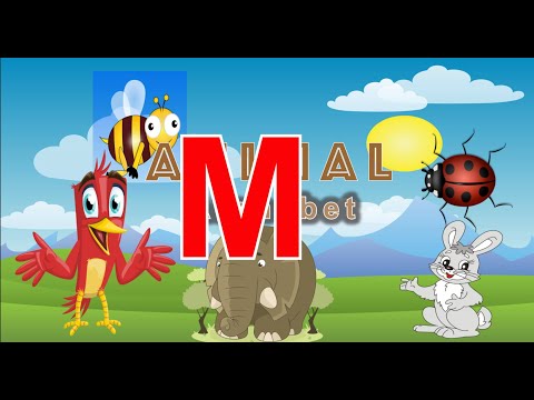 M Animal Alphabet | Learning animals name start with a letter M, A to Z pre-k education, toddlers