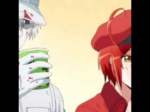 cells at work/ white blood cell Nuhperhill and red blood cell