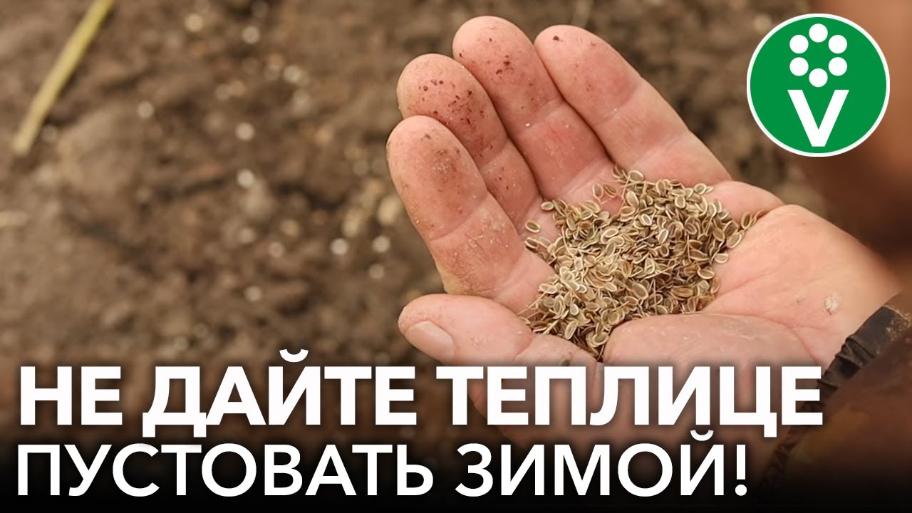 Интернет-магазин «Процветок» в Беларуси