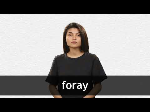 FORAY definition and meaning | Collins English Dictionary