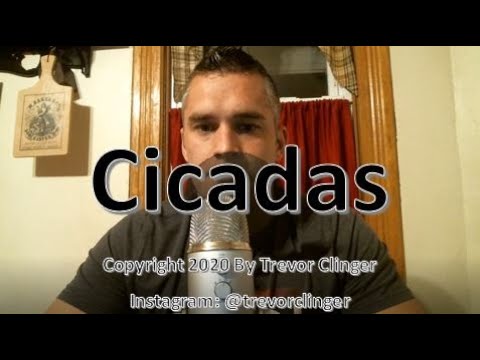 How To Pronounce Cicadas