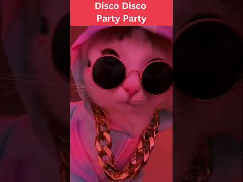 Disco Cat Party Time! #funny #cat #memes #shorts