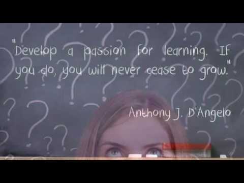 INTELLECTUAL CURIOSITY