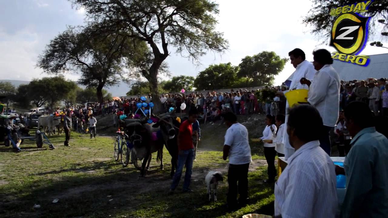 San isidro tepanco 2015