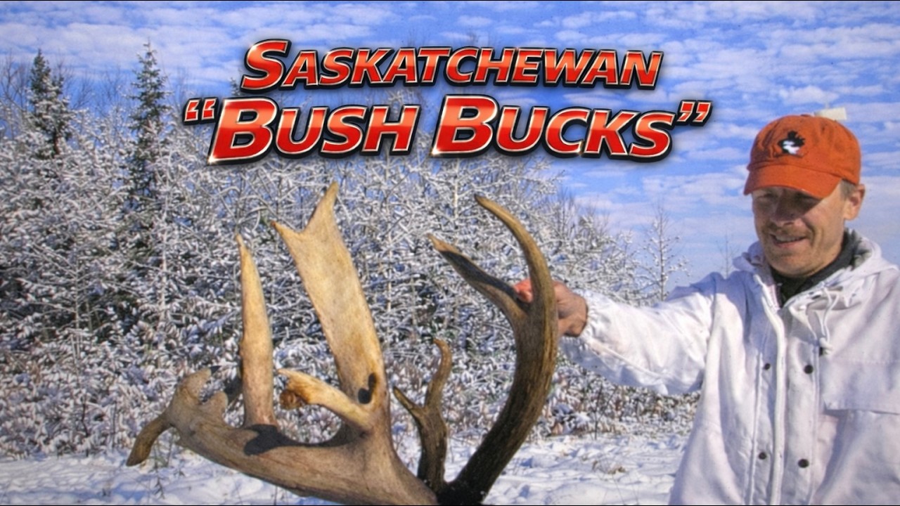 Whitetail Deer Hunting Saskatchewan
