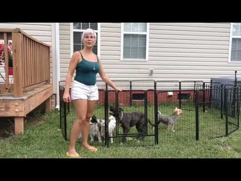 FXW dog playpen indoor and in patio