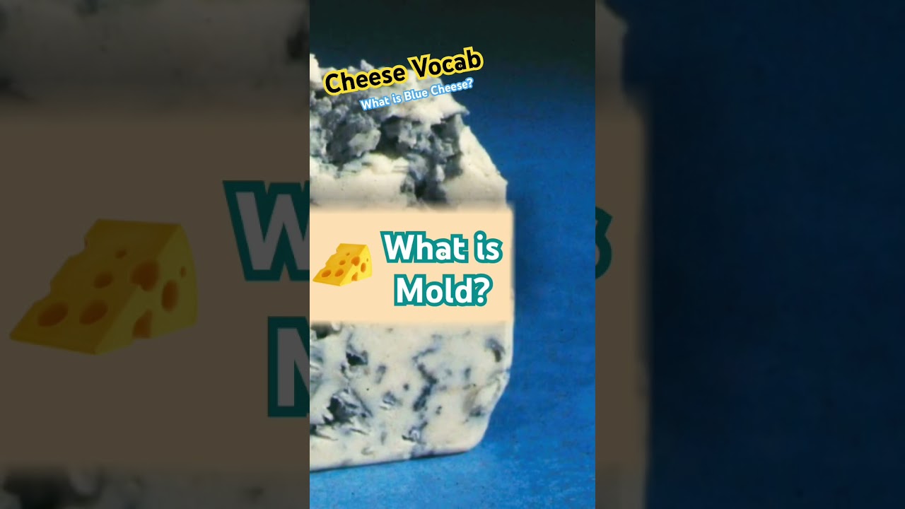 🧀What is Blue Cheese? Why is MOLD IN cheese? Why is some cheese moldy? #cheese #bluecheese #cheeses