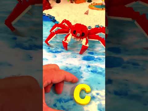 Fin tastic Matches! Sea Animals & Letters for Toddlers