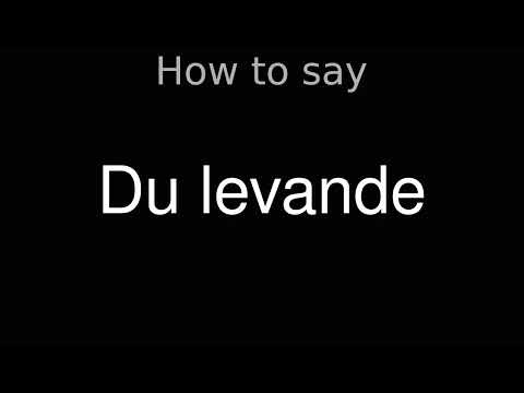 How to Pronounce correctly Du levande (Movie)