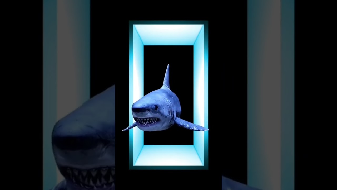 Holographic Shark in a Tank! | HoloSky | 3D Shark Experience Like Never Before