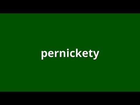 what is the meaning of pernickety