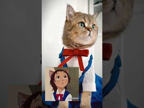 The Cat Returns