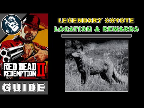 Steam Community :: Video :: 🐕 Hunt Legendary Coyote & Rewards 🤩 Red ...