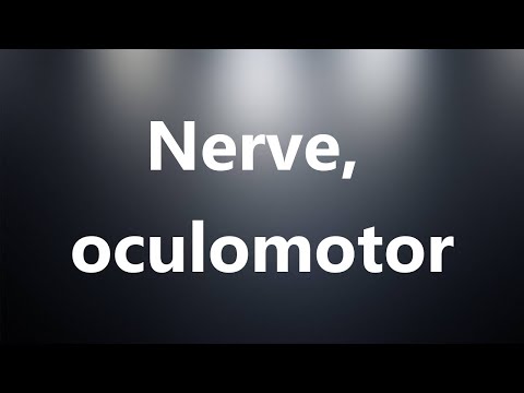 Nerve, oculomotor - Medical Meaning and Pronunciation