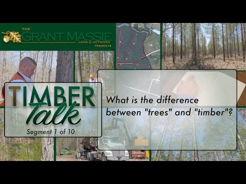 Timber Talk: What is the difference between “trees” and “timber”? (1 of 10)