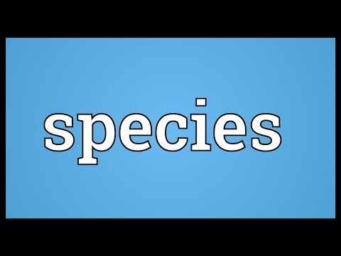 Species Meaning