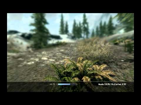Steam Community :: Video :: Skyrim Classes First Look HD