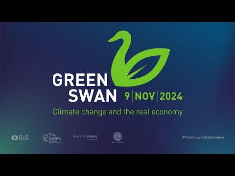 Green Swan 2024: Impact of climate change on the real economy