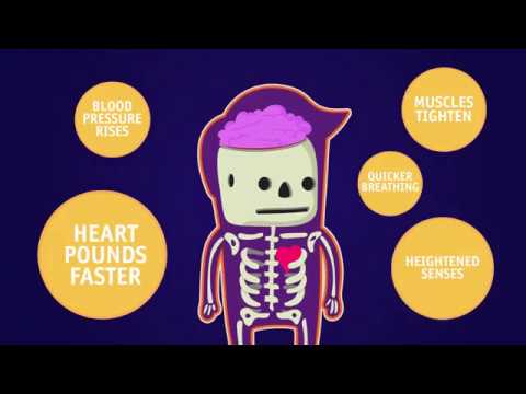 Stress 101 - Understanding Stress and How to Manage It - HealthTexas Medical Group